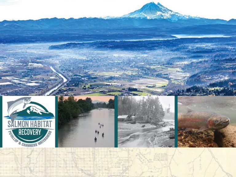 Salmon – Puyallup-White River Local Integrating Organization